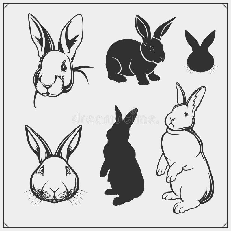 Cute Rabbit Silhouettes Set. Happy Easter Card Design, Print Design ...