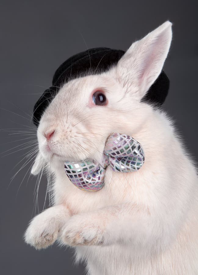 Cute Rabbit in Top Hat and Bow-ti Stock Photo - Image of artifact ...