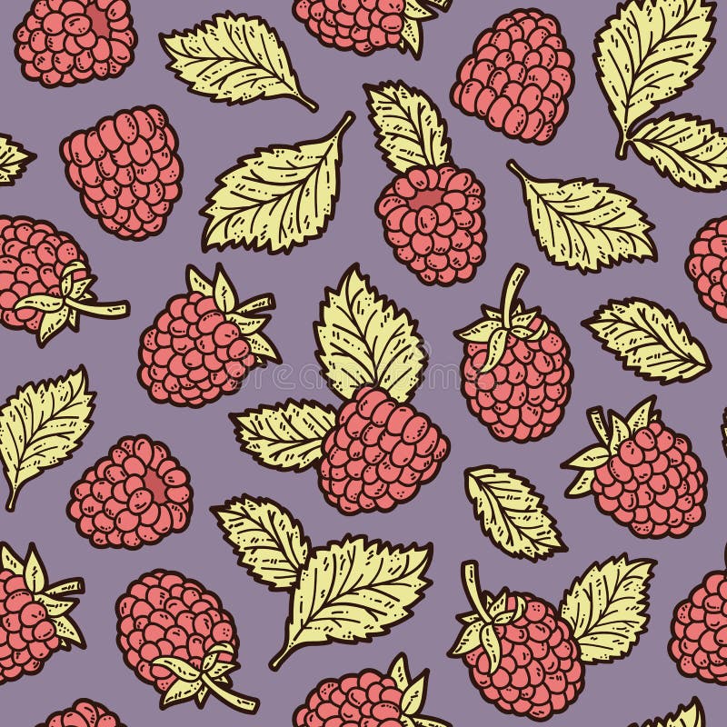 Cute raspberry pattern. stock vector. Illustration of natural - 53905638