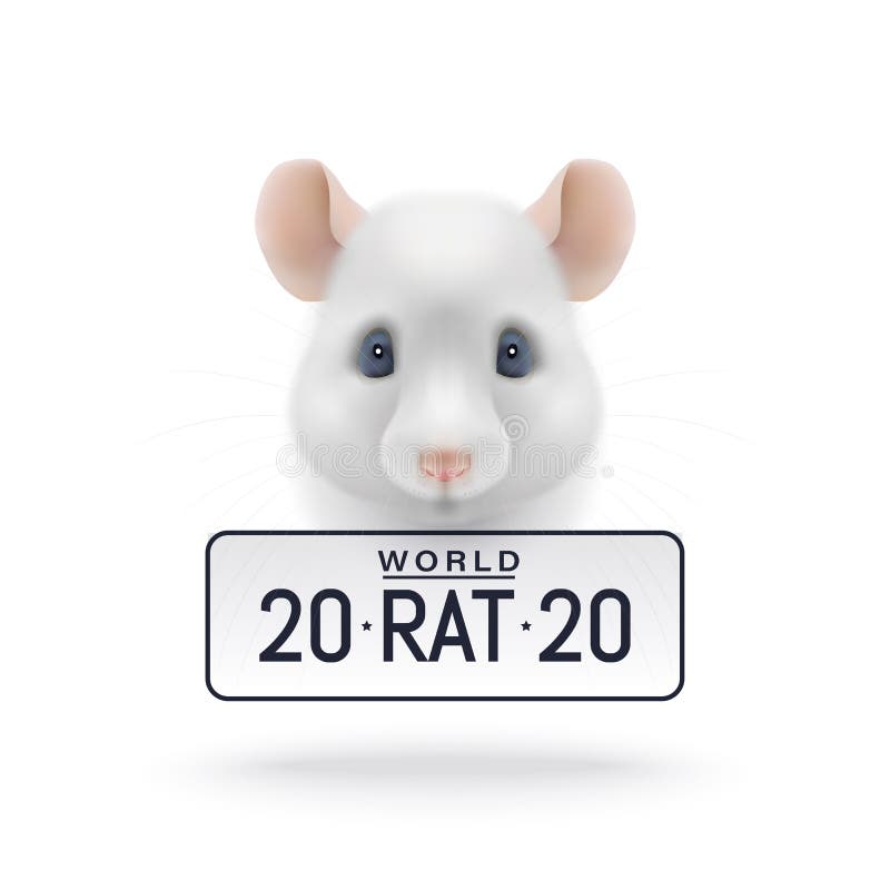 Rat Plate Stock Illustrations – 272 Rat Plate Stock Illustrations ...
