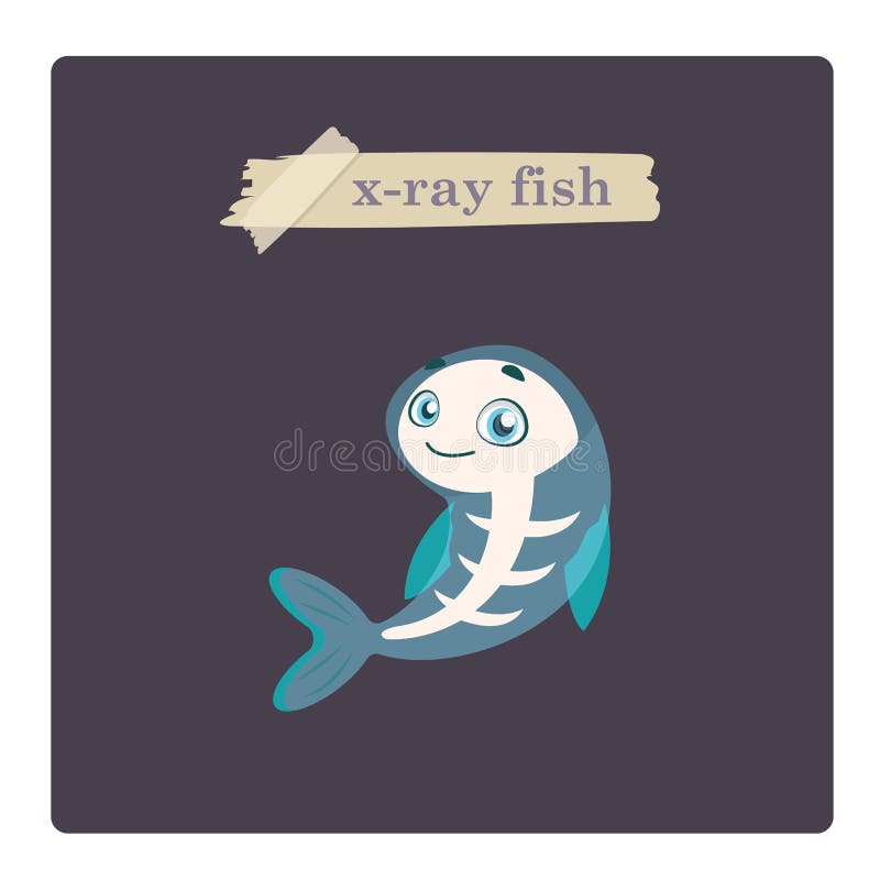 Cute X-ray Fish Illustration on Purple Background Stock Vector ...