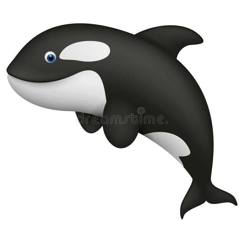 Cute Realistic Killer Whale Stock Vector - Illustration of underwater ...