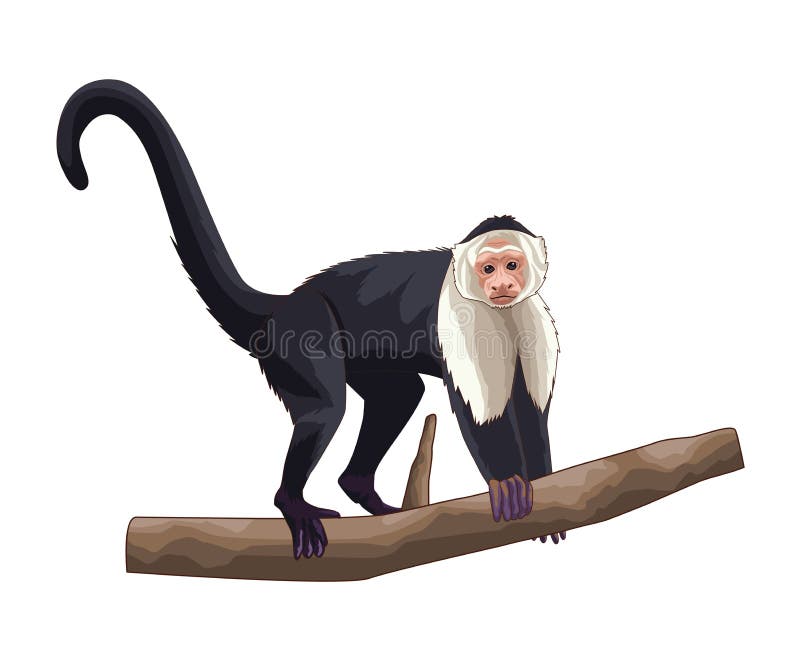 Cute and realistic monkey stock illustration. Illustration of animal ...