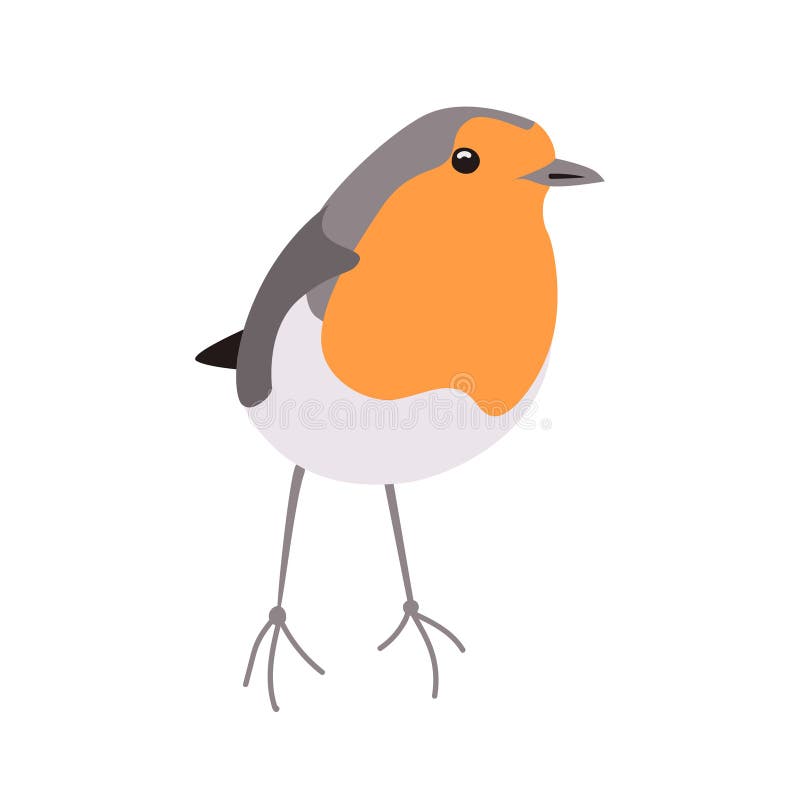 Cute Robin Bird. Cartoon Isolated Vector Illustration Stock Vector ...