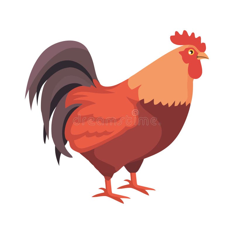 Cute Rooster Standing on Grass, Crowing Loudly Stock Vector ...