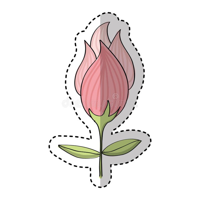 Cute rose drawing icon stock vector. Illustration of beauty - 86383747