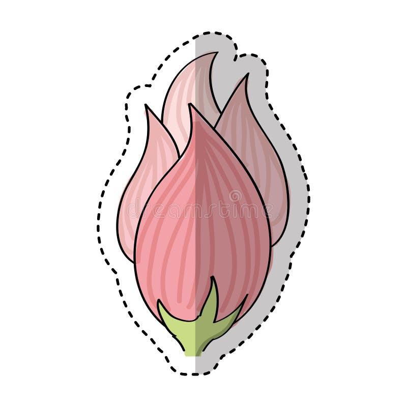 Cute rose drawing icon stock vector. Illustration of beauty - 86384322