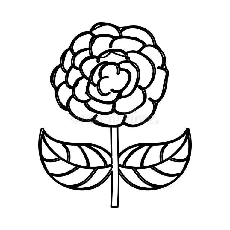 Cute rose drawing icon stock vector. Illustration of cute - 86384566