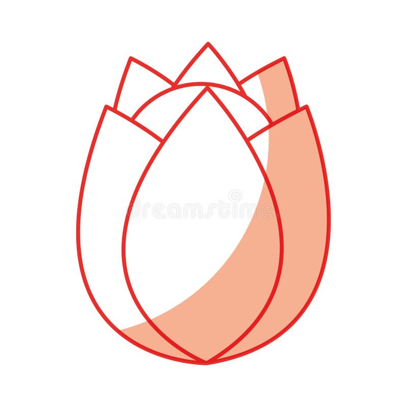 Cute rose isolated icon stock vector. Illustration of environmental ...