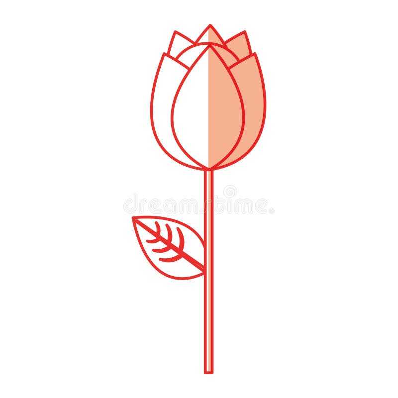 Cute rose isolated icon stock vector. Illustration of blossom - 92756529