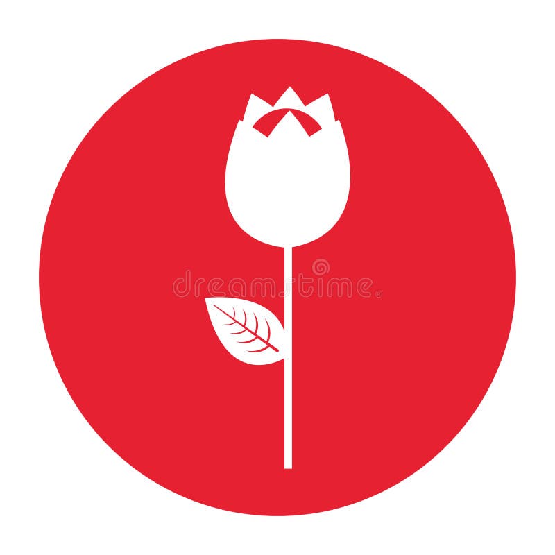 Cute rose isolated icon stock vector. Illustration of decoration - 92756580