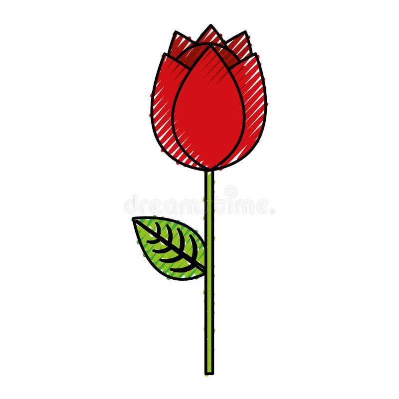 Cute rose isolated icon stock vector. Illustration of elegant - 93155092