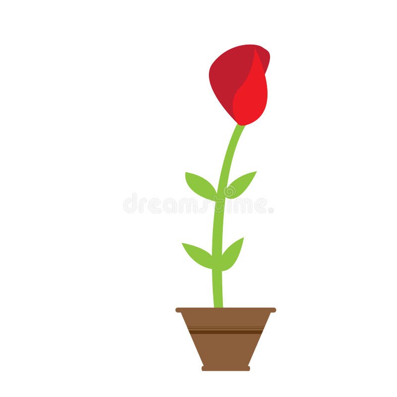 Cute rose on a pot stock vector. Illustration of decoration - 110985726