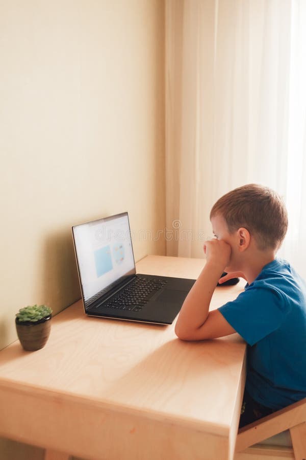 Cute Schoolboy Doing Homework with Computer at Home. Stock Image ...