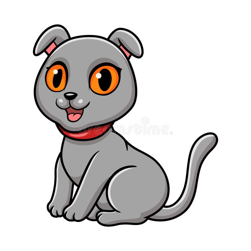 Cute Scottish Fold Cat Cartoon Stock Vector - Illustration of kitten ...