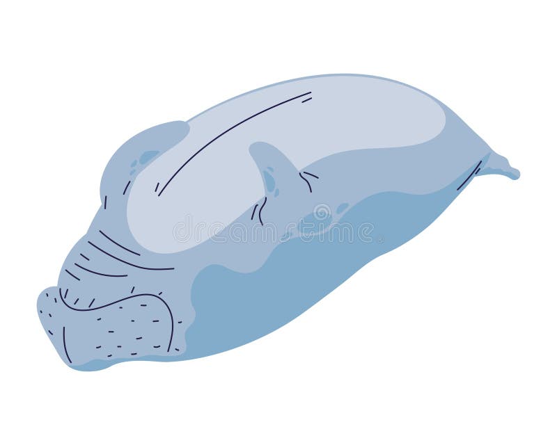 Cute Sea Cow Swimming Alone Stock Illustration - Illustration of ...