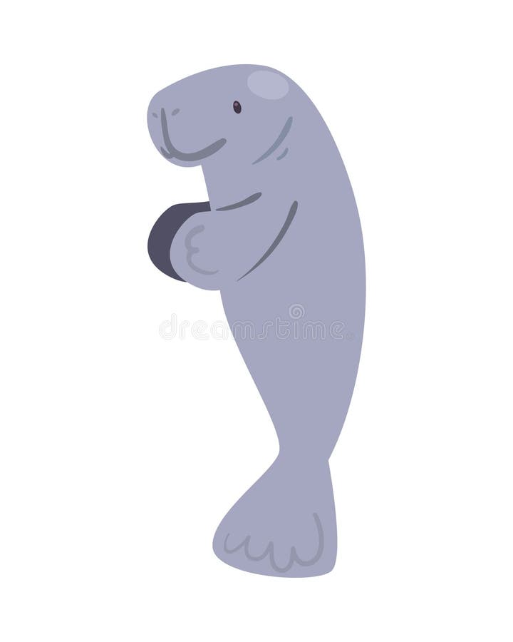 Cute sea cow wildlife stock illustration. Illustration of dugong ...
