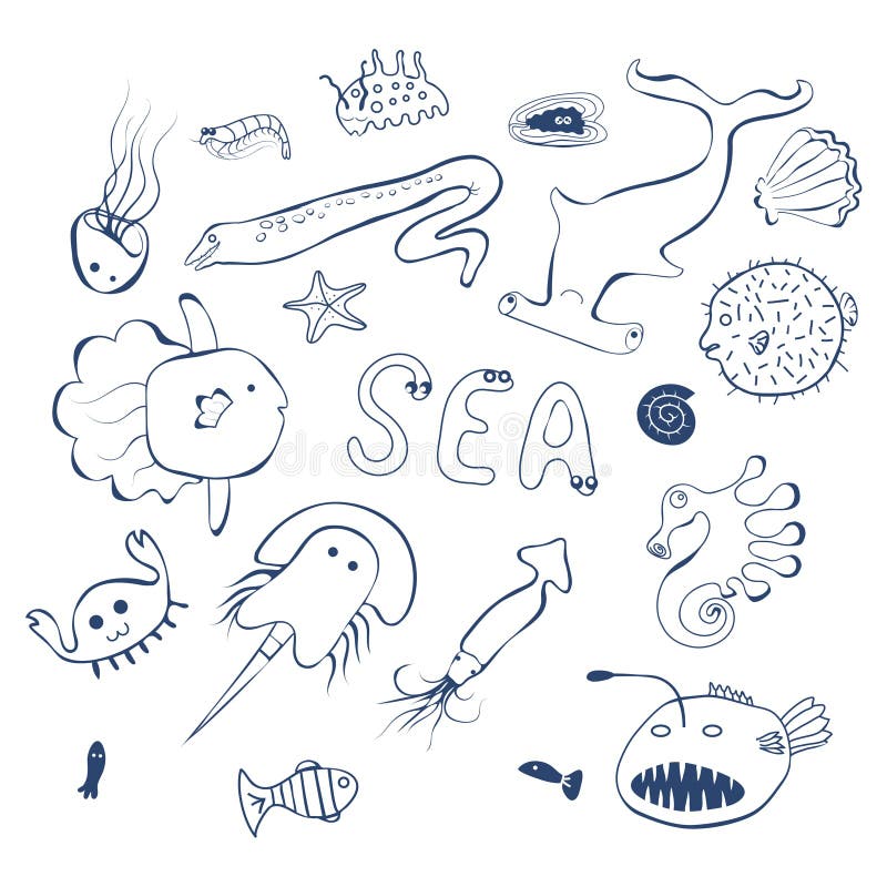 Sea Creatures Line Art, Fish, Shell Crabs, Star-fish Illustrations ...