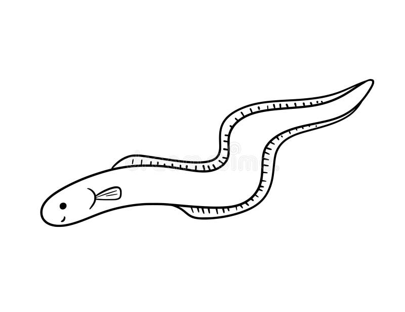 Cute Sea Eel Drawing, Vector Doodle Outline Simple Illustration Stock ...