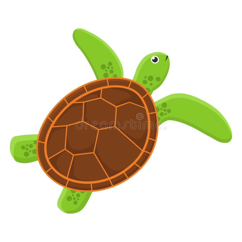 Cute Sea Turtle Animal Vector Stock Vector - Illustration of water ...