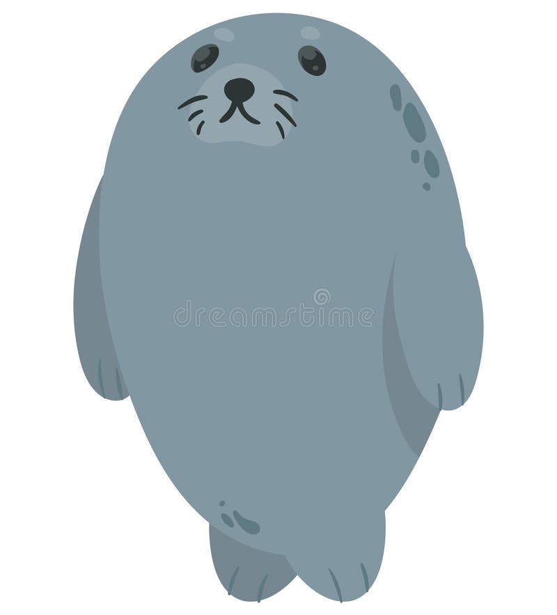 Cute seal baby stock vector. Illustration of domestic - 262932099