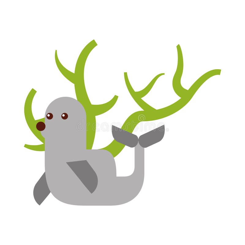 Cute seal isolated icon stock vector. Illustration of fauna - 94896223