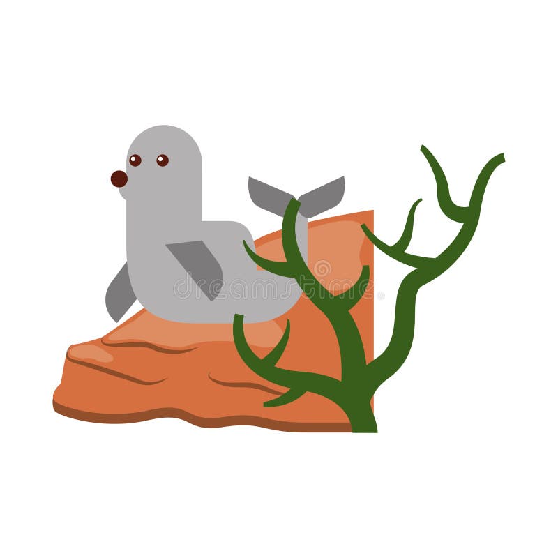 Cute seal isolated icon stock vector. Illustration of adorable - 94896429