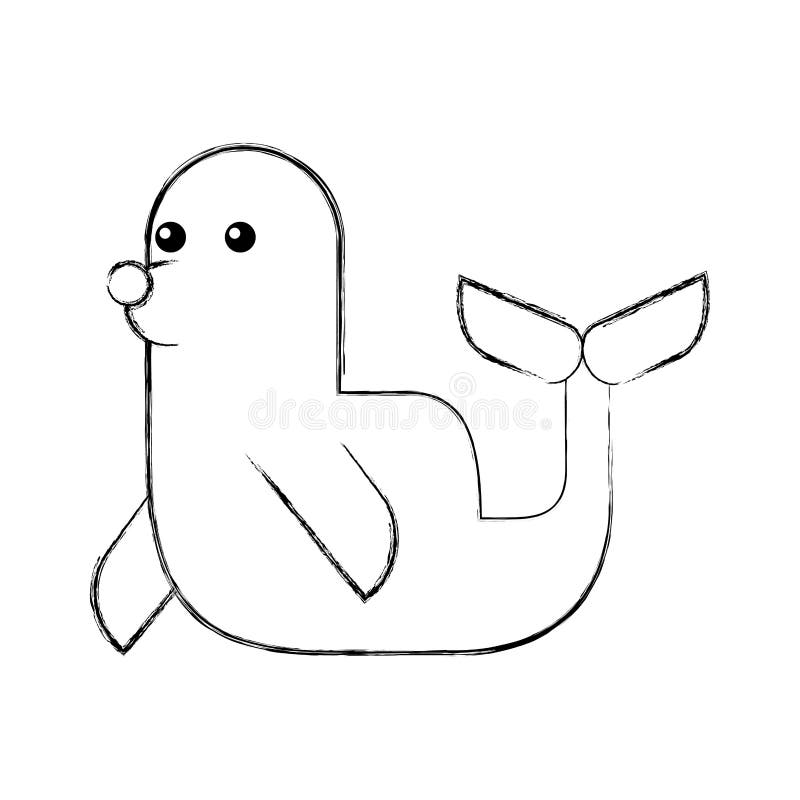 Cute seal isolated icon stock vector. Illustration of marine - 95483958