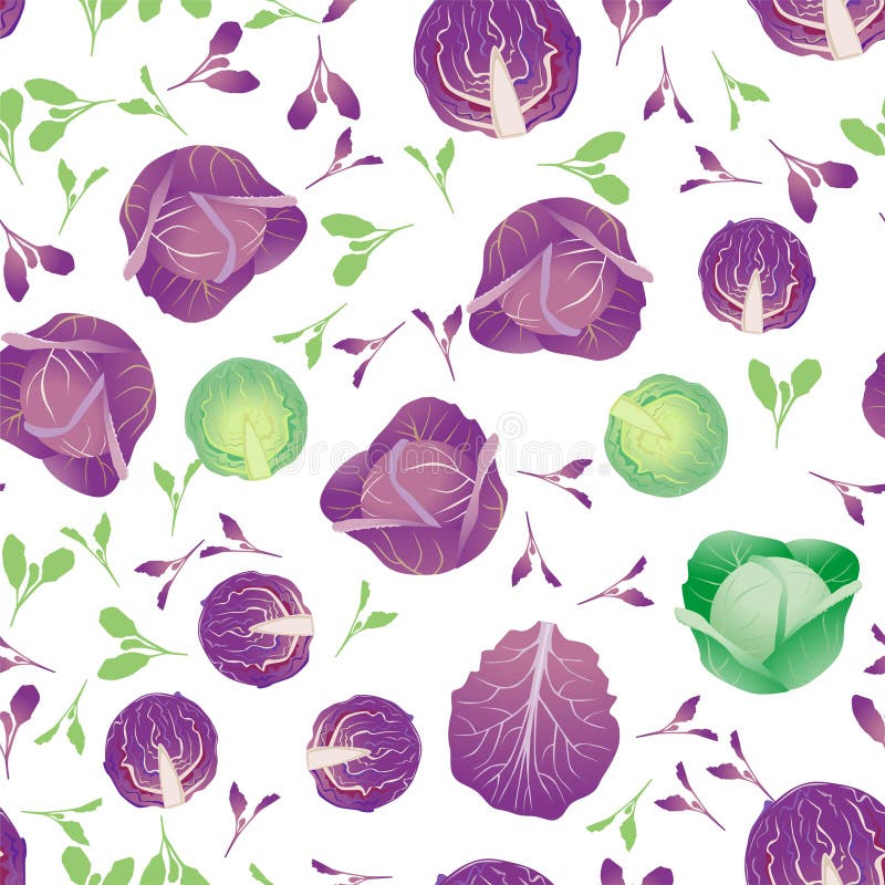 Pattern with cabbage stock vector. Illustration of seamless - 122943498