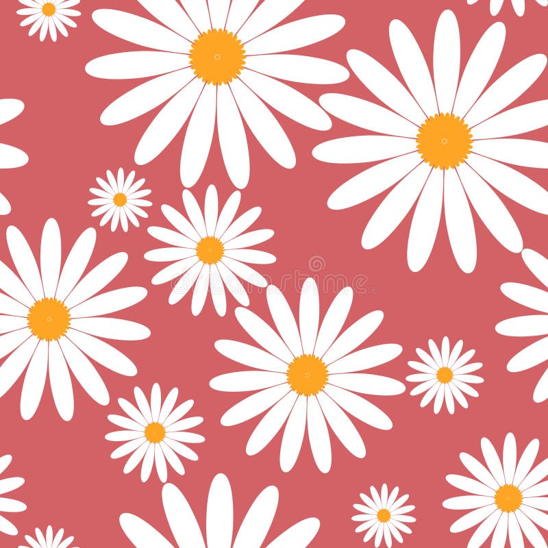 Cute Seamless Pattern Of White Daisies Stock Vector Illustration Of