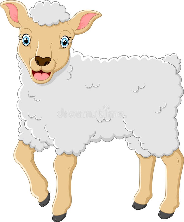 Cute sheep cartoon stock vector. Illustration of hooves - 78247555
