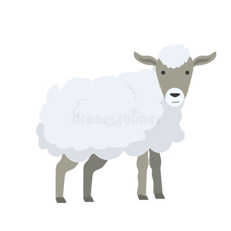 Cute sheep illustration stock illustration. Illustration of design ...