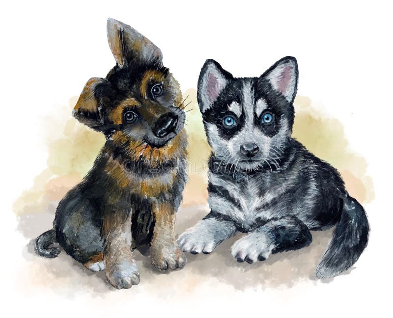 Cute Shepherd and Husky Puppies, Watercolor Illustration. Stock ...