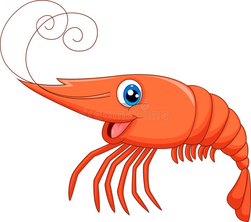 Cute shrimp cartoon stock vector. Illustration of natural - 45855721