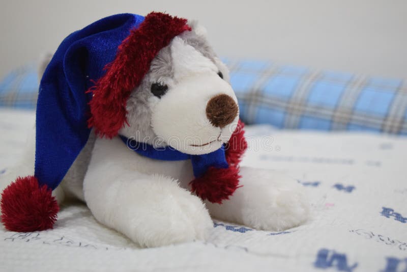 A Cute Siberian Husky Doll/toy on Bed. Stock Photo - Image of husky ...