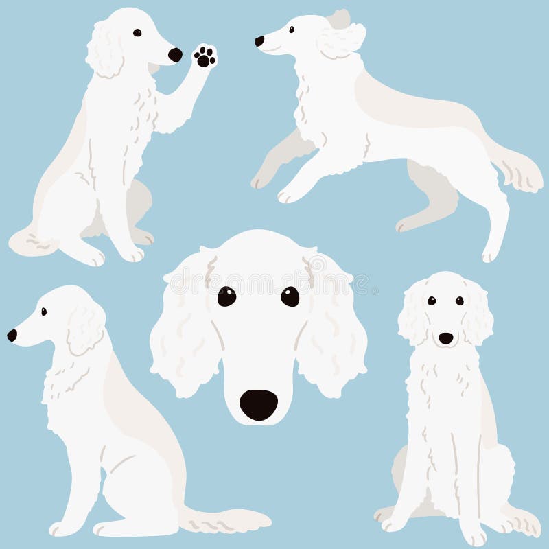 Cute and Simple Illustrations of White Borzoi Dog Flat Colored Stock ...
