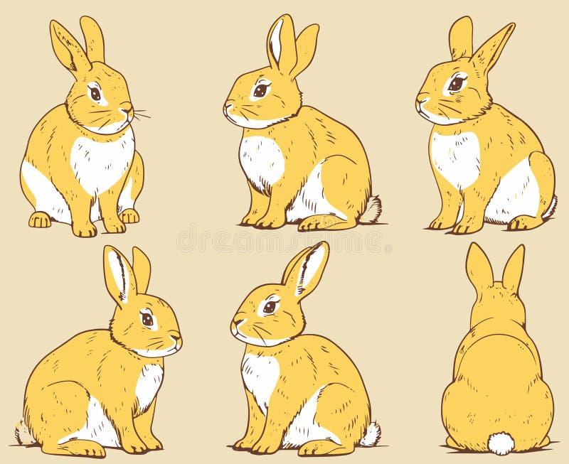 A Cute Simple Rabbit with Different Angles. Stock Illustration ...