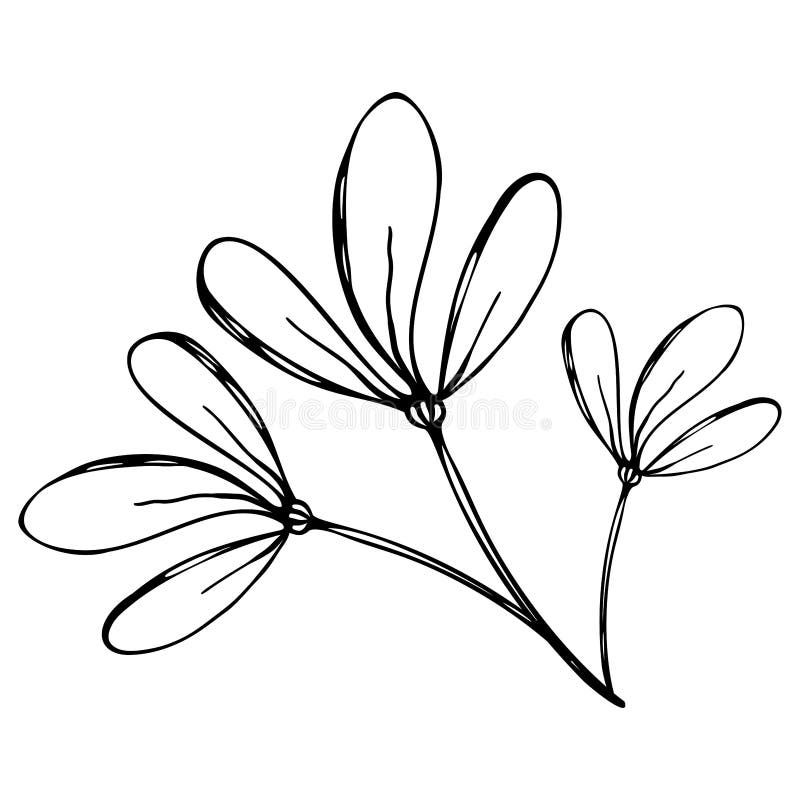 Cute Single Hand Drawn Floral Elements in Doodle Style Stock Vector ...