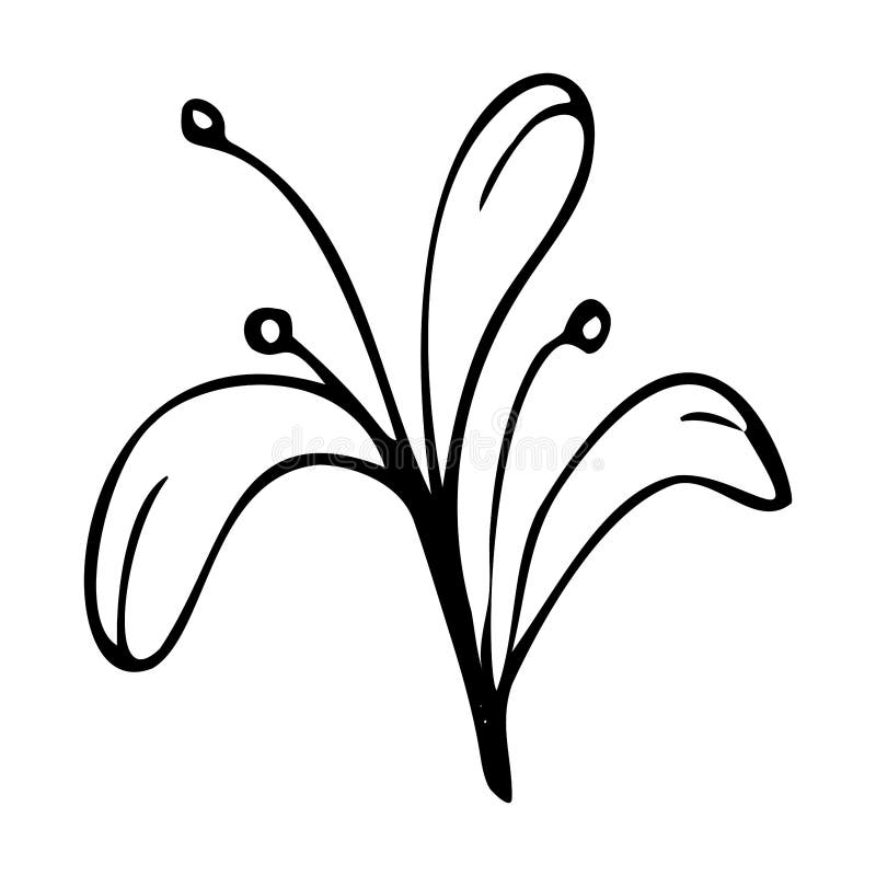 Cute Single Hand Drawn Floral Elements in Doodle Style Stock Vector ...