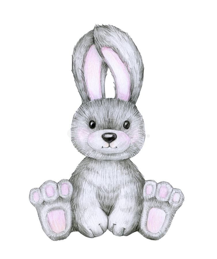 Cute sitting baby rabbit. stock illustration. Illustration of hare ...