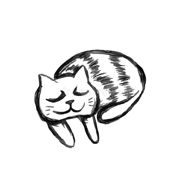 Cute Sketch Cozy Simple Cat Sleeping Isolated Vector Stock Vector ...