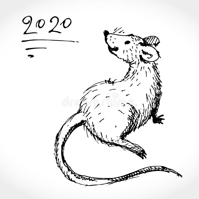 Cute Sketch Illustration with Hand Drawn Cute Rat 2020. Stock ...