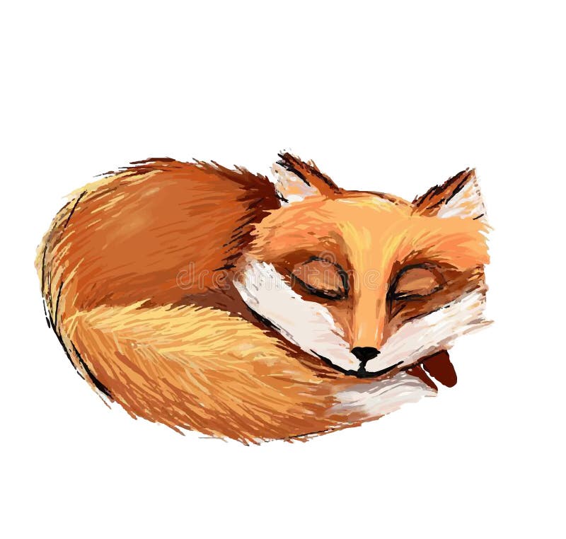 Cute Sleeping Fluffy Fox Hand Drawn Vector Isolated Object. Childrens ...