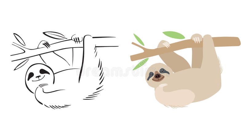 Sloth Line Drawing Stock Illustrations – 535 Sloth Line Drawing Stock ...