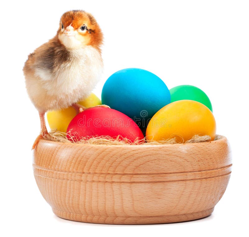 Cute Small Chick with Easter Eggs Stock Photo - Image of yellow, animal ...