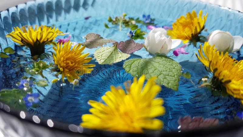 Flowers Float in a Bowl with a Lit Diya in the Center Stock Footage ...