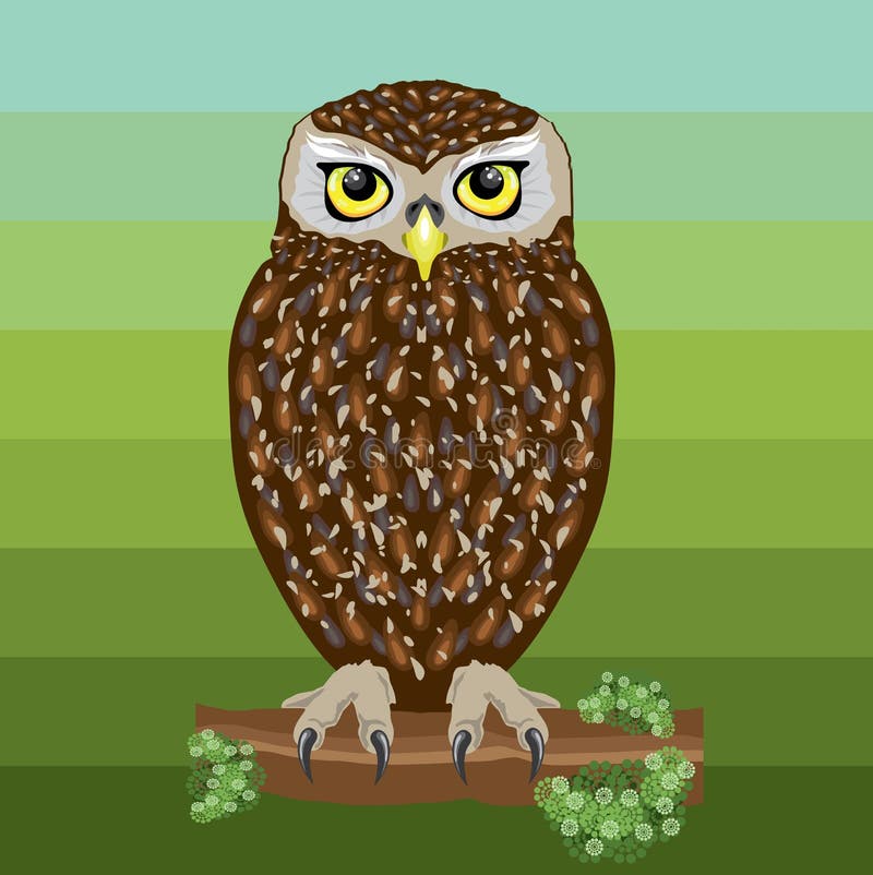 Cute Smart Owl Illustration Stock Vector - Illustration of beak, cute ...