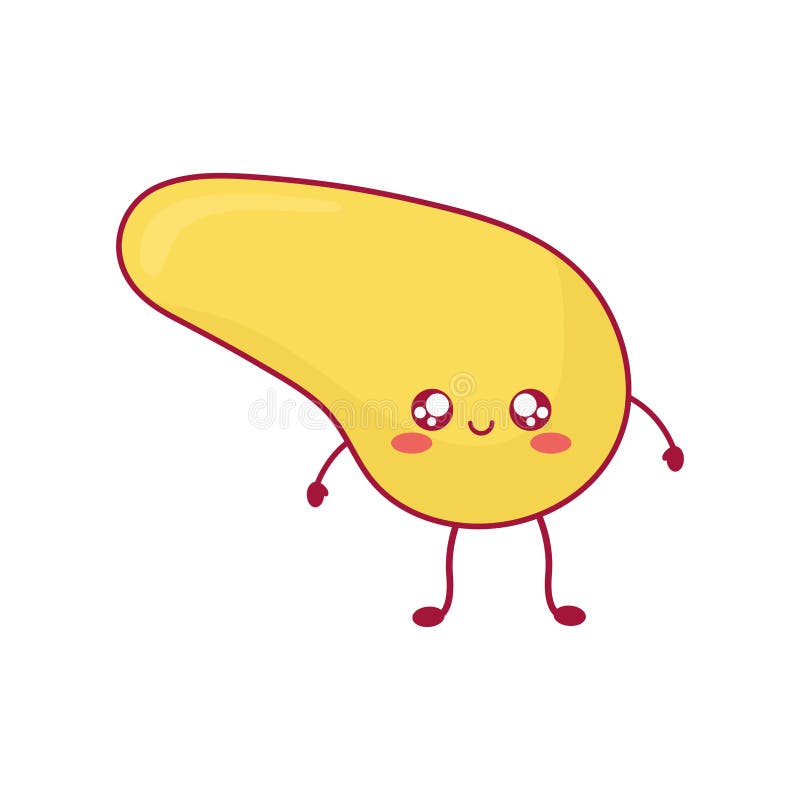 Pancreas Kawaii Stock Illustrations – 47 Pancreas Kawaii Stock ...