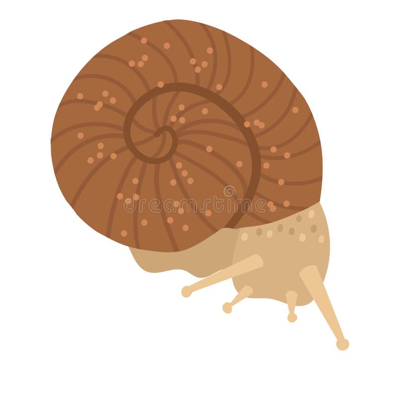 Cute Snail in a Shell in Brown. Vector Hand Drawn Cartoon Stock Vector ...