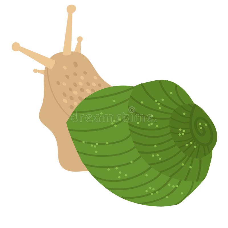 Cute Snail in a Shell in Green Color. Vector Hand Drawn Cartoon Stock ...